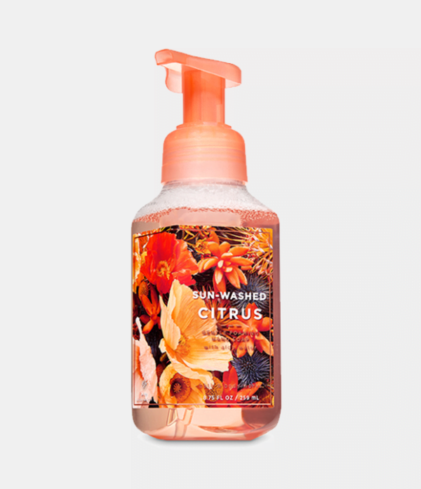 Gentle Foaming Hand Soap Bath And Body Works Kgpcorp